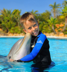 Zoomarine | Dolphin Emotions