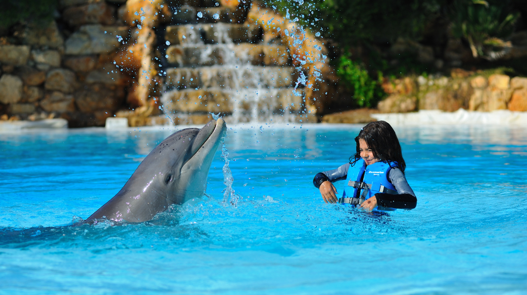 Zoomarine | Dolphin Emotions Encounter